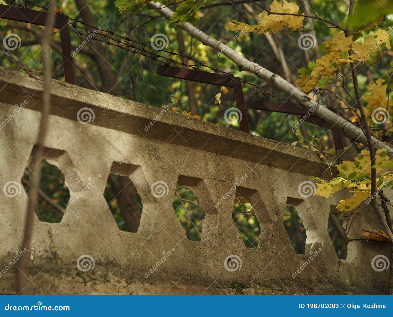 Concrete Fence with Barbed Wire on Top of the Fence. Stock Image ...