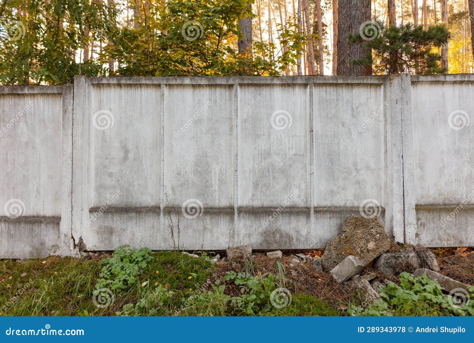 Concrete Fence in the Forest in Autumn Stock Photo - Image of pathway ...