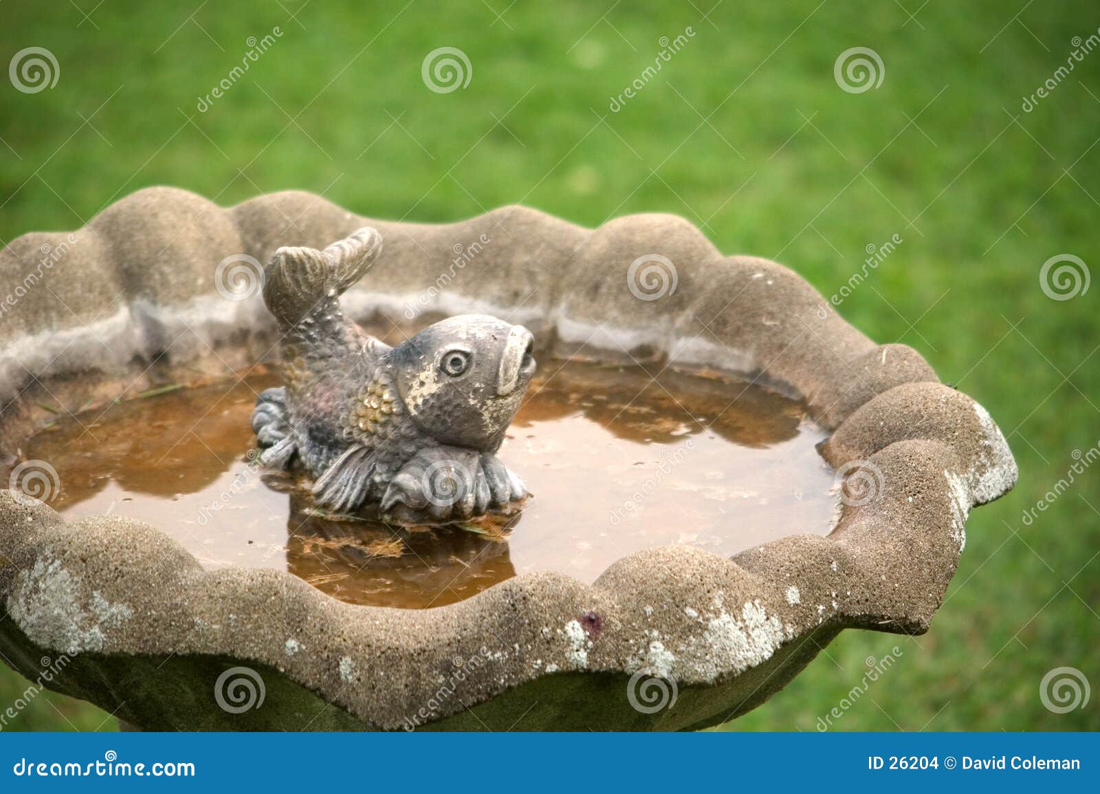 Concrete fish stock photo. Image of birdbath, fish, garden - 26204