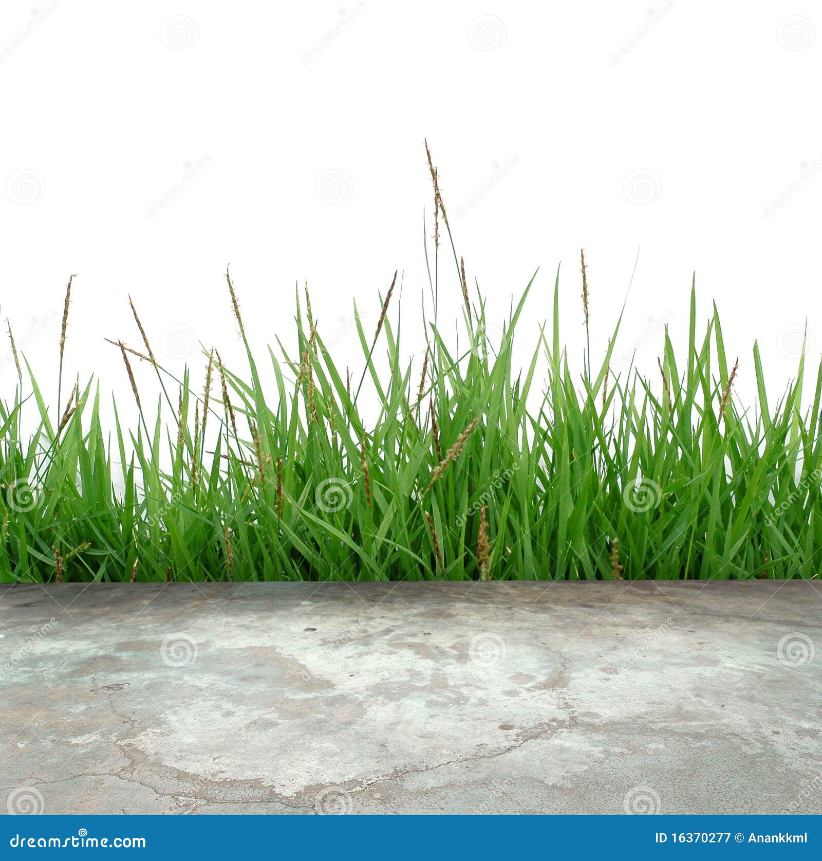 Concrete Floor with Green Grass Stock Image - Image of lush, grass ...