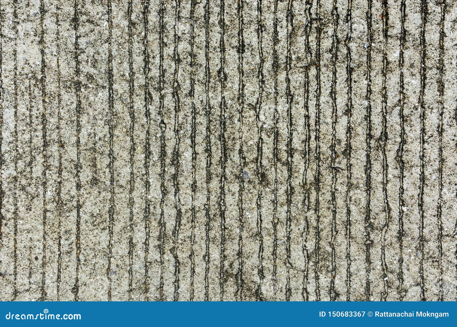 Concrete Floor with Moss Texture Stock Image - Image of gray, foot ...