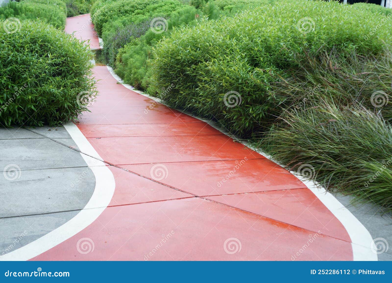 Concrete Floor Paint Orange Color for Bicycle Lane Stock Photo - Image ...