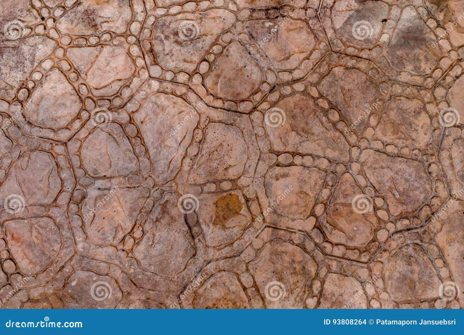 Concrete floor pattern stock photo. Image of house, architecture - 93808264