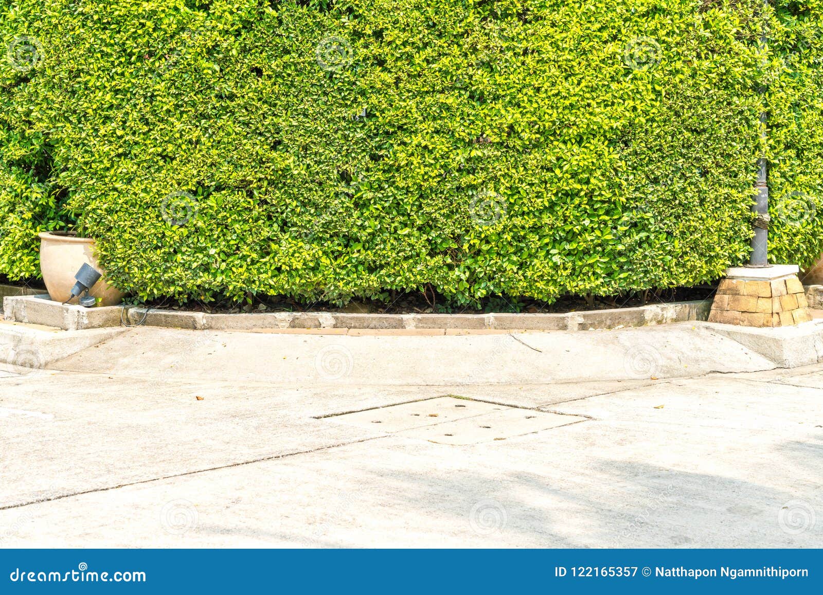 Concrete Floor with Tree Background Stock Image - Image of sidewalk ...
