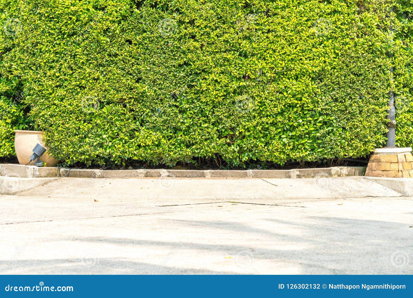 Concrete Floor with Tree Background Stock Photo - Image of tree, city ...