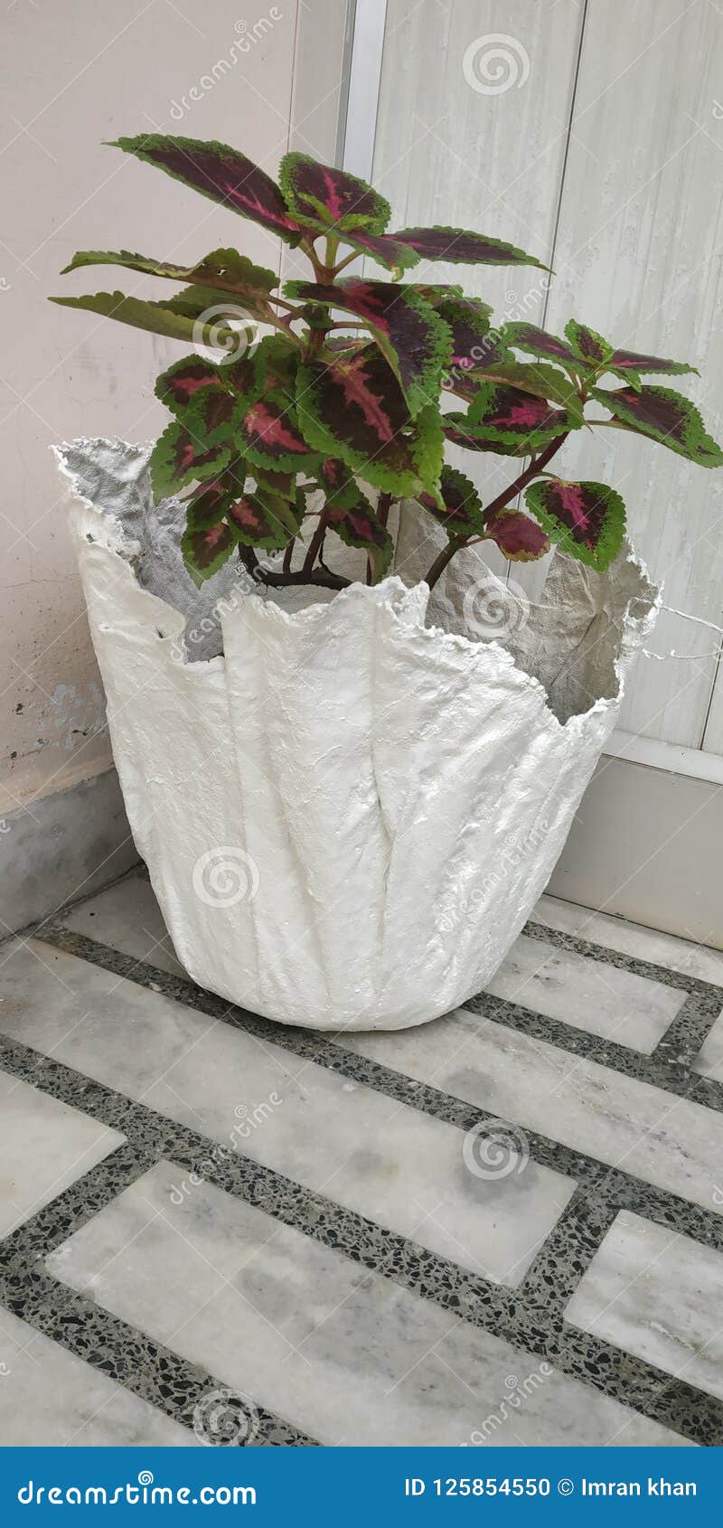 Concrete flower pot stock photo. Image of white, idea - 125854550