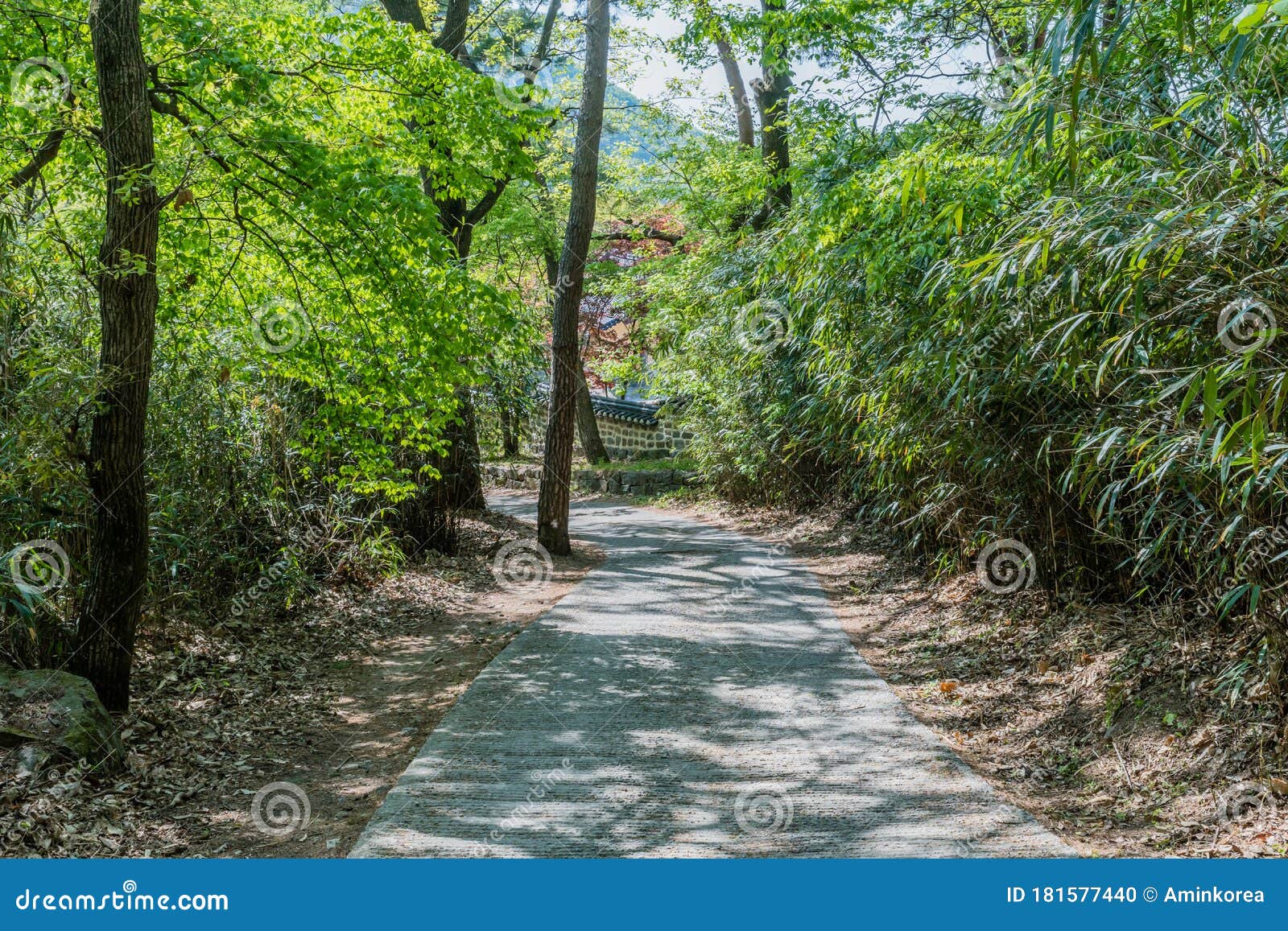 Concrete Hiking Trail in Park Stock Photo - Image of mountainous ...