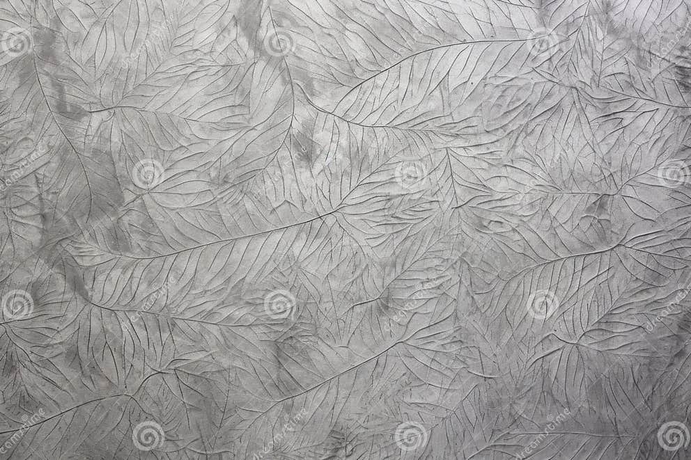 Concrete with Imprinted Leaf Pattern Stock Photo - Image of imprinted ...