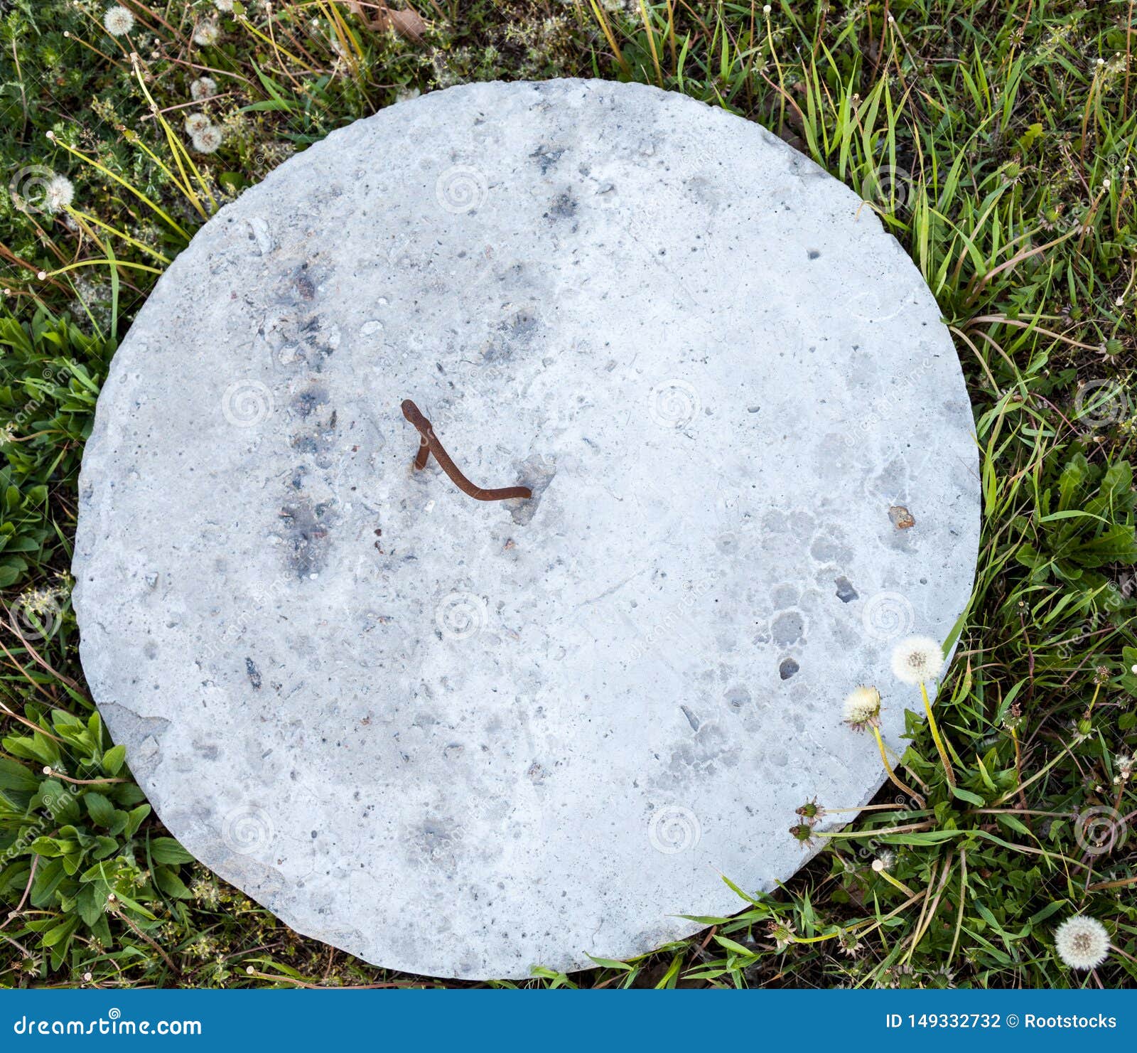 Concrete Manhole Cover in the Grass Stock Photo - Image of space ...