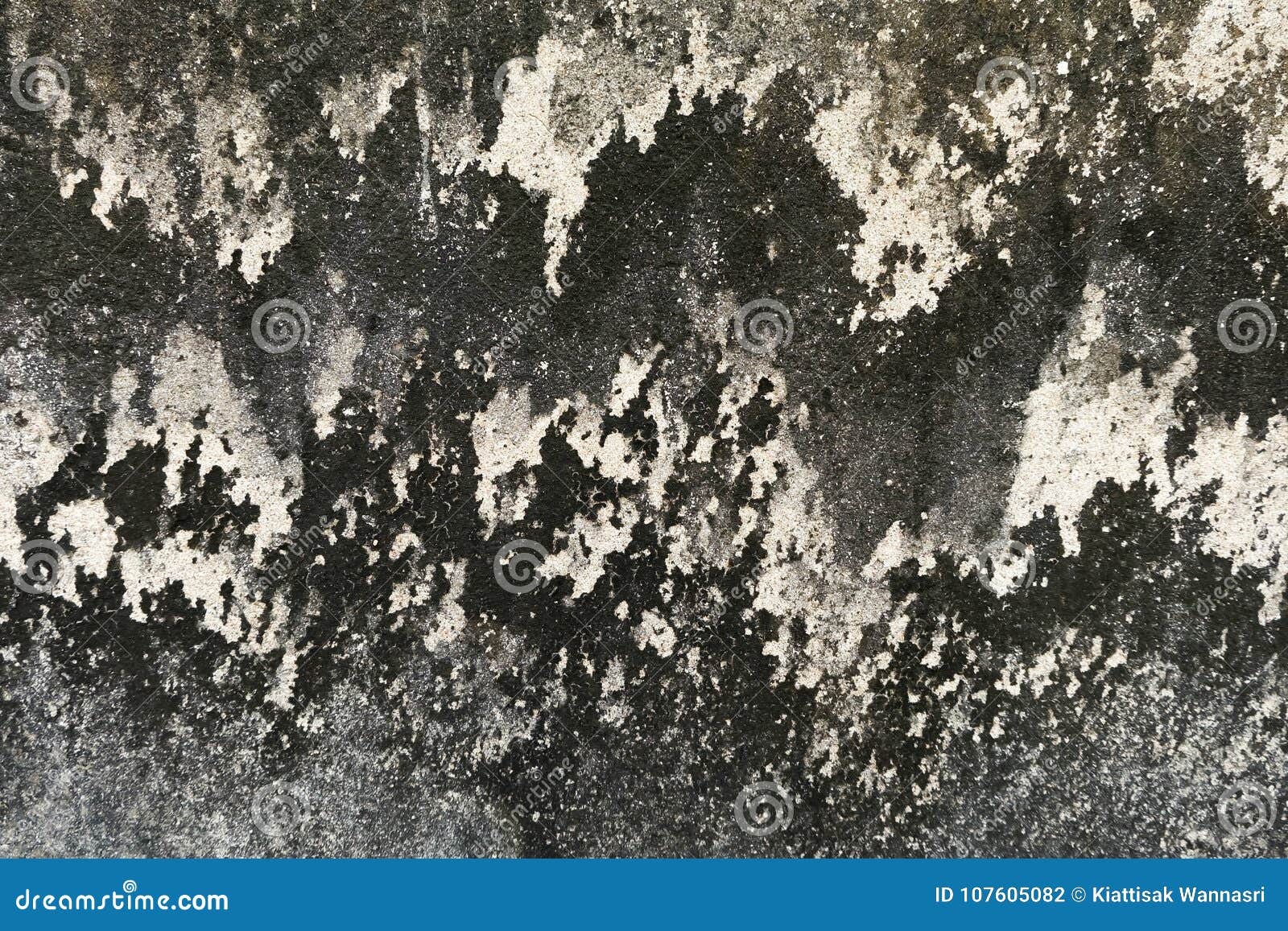 Dirty white wall stock photo. Image of people, ruined - 107605082