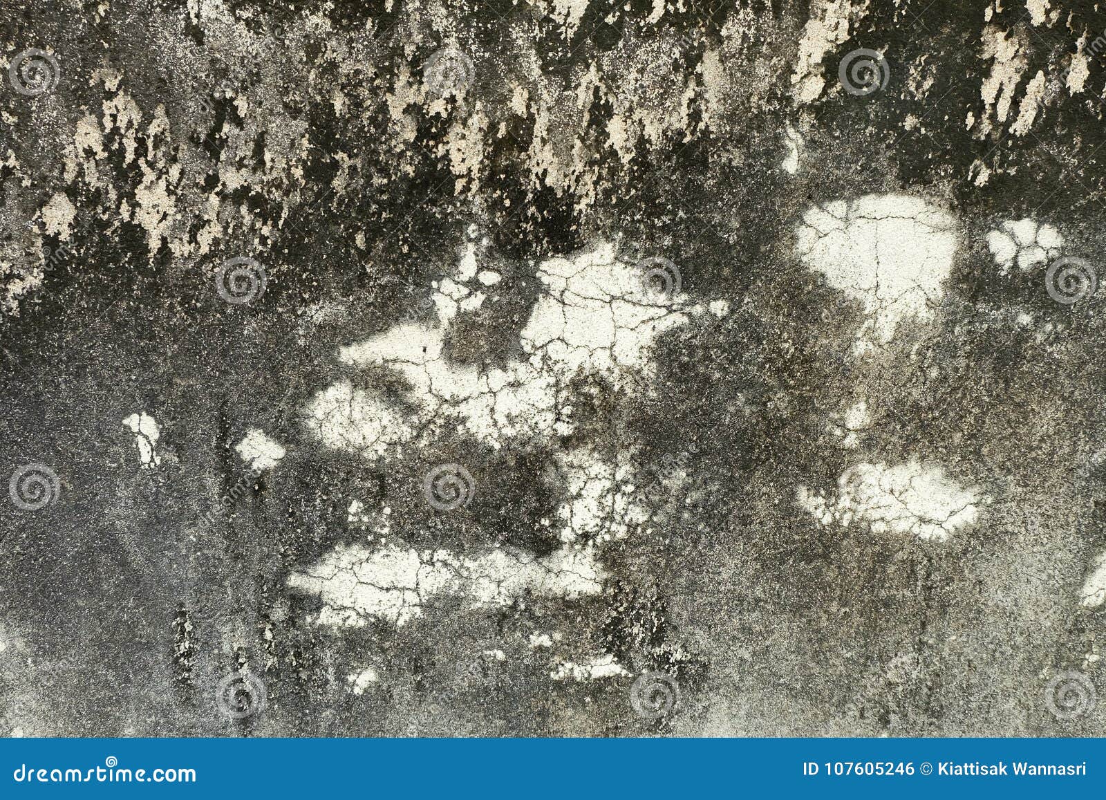 Dirty white wall stock photo. Image of empty, closeup - 107605246