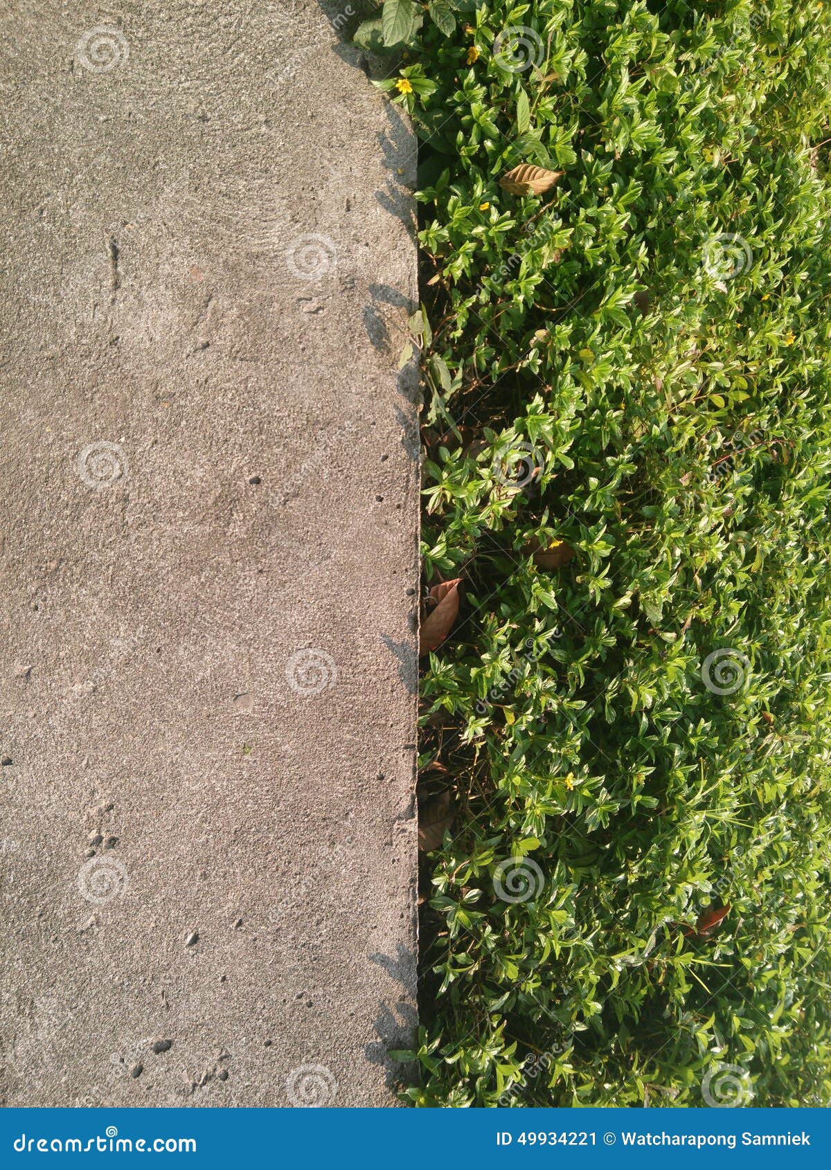 Concrete and Nature stock image. Image of nature, contrast - 49934221