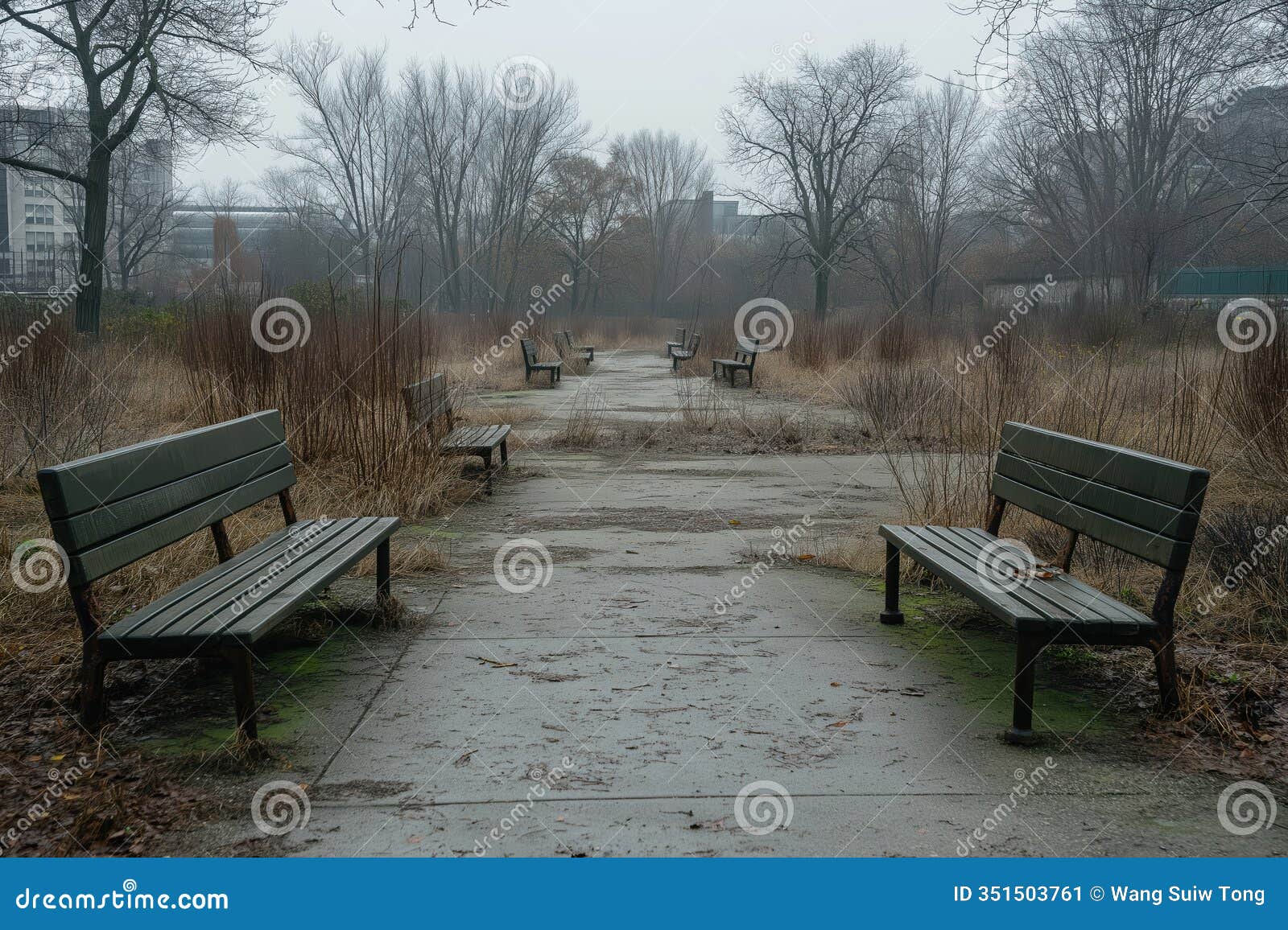 Empty Benches Standing on Concrete Path in a Deserted Park Stock ...