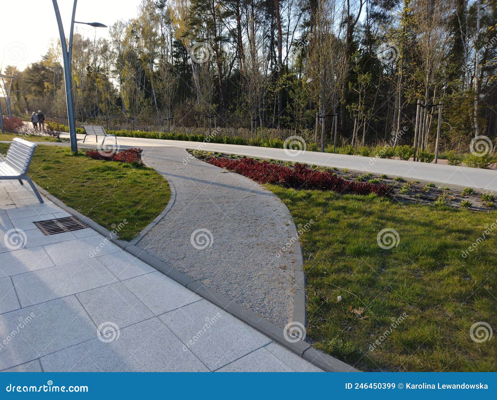 Concrete Path between Green Grass and Flowers Stock Image - Image of ...