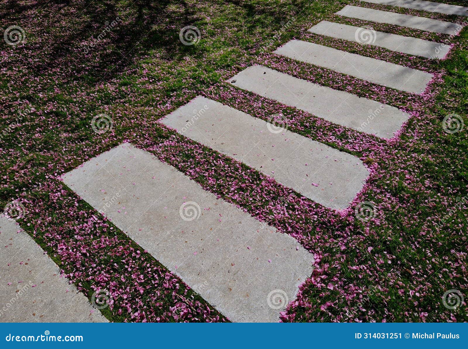 Concrete Path Lawn Pedal Rectangular Shape in Regular Grid Routed Stock ...