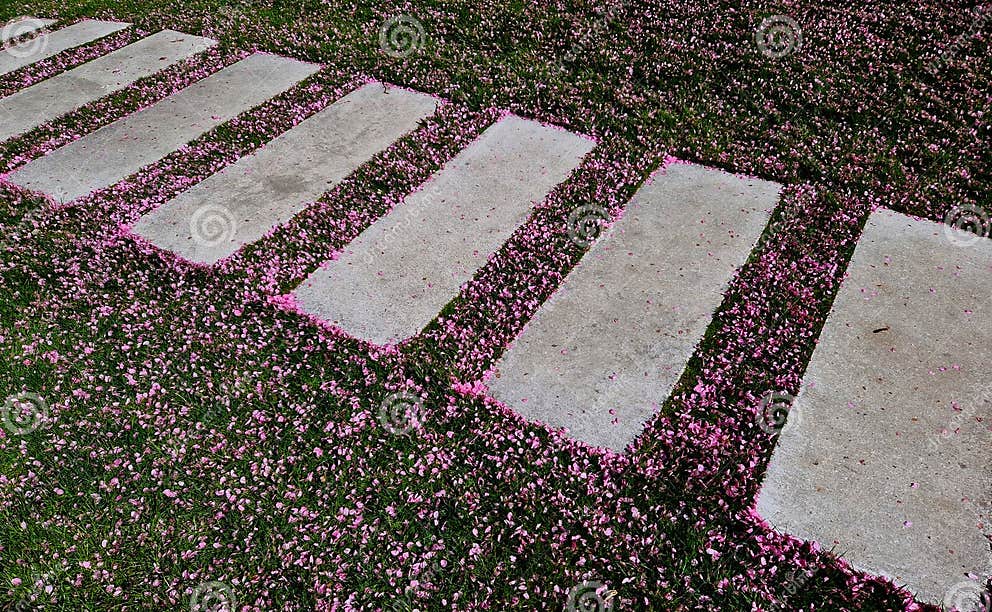 Concrete Path Lawn Pedal Rectangular Shape in Regular Grid Routed Stock ...