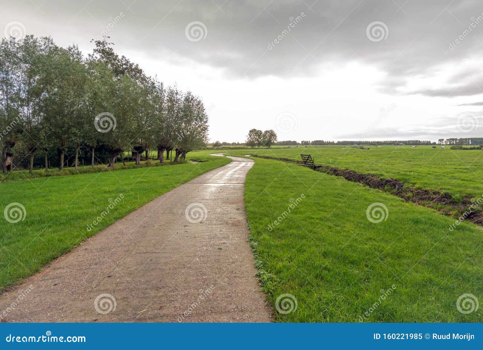Concrete Path Meandering between the Grass Stock Image - Image of fence ...