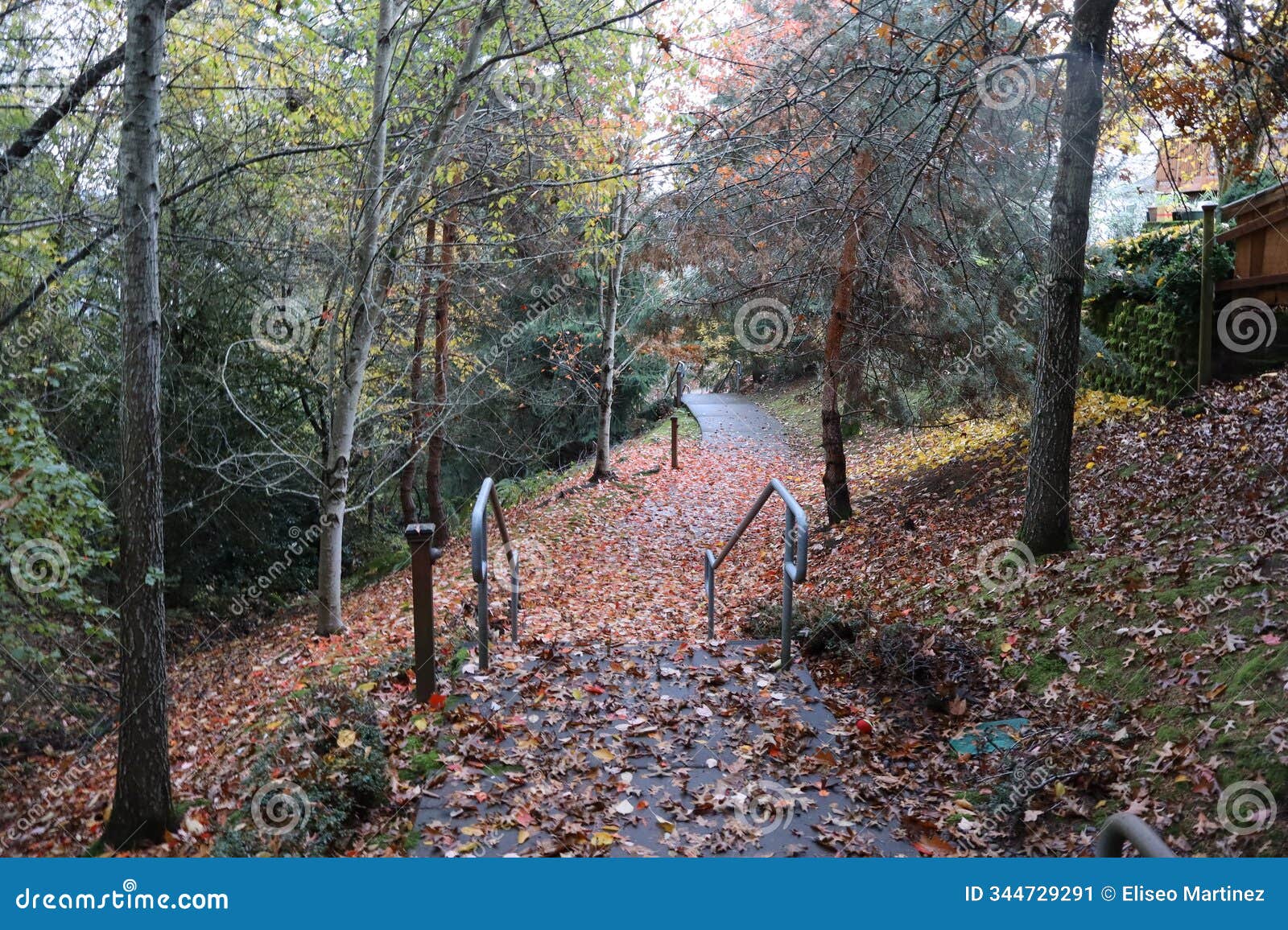 Concrete Path On A Slope Stock Image | CartoonDealer.com #334882231