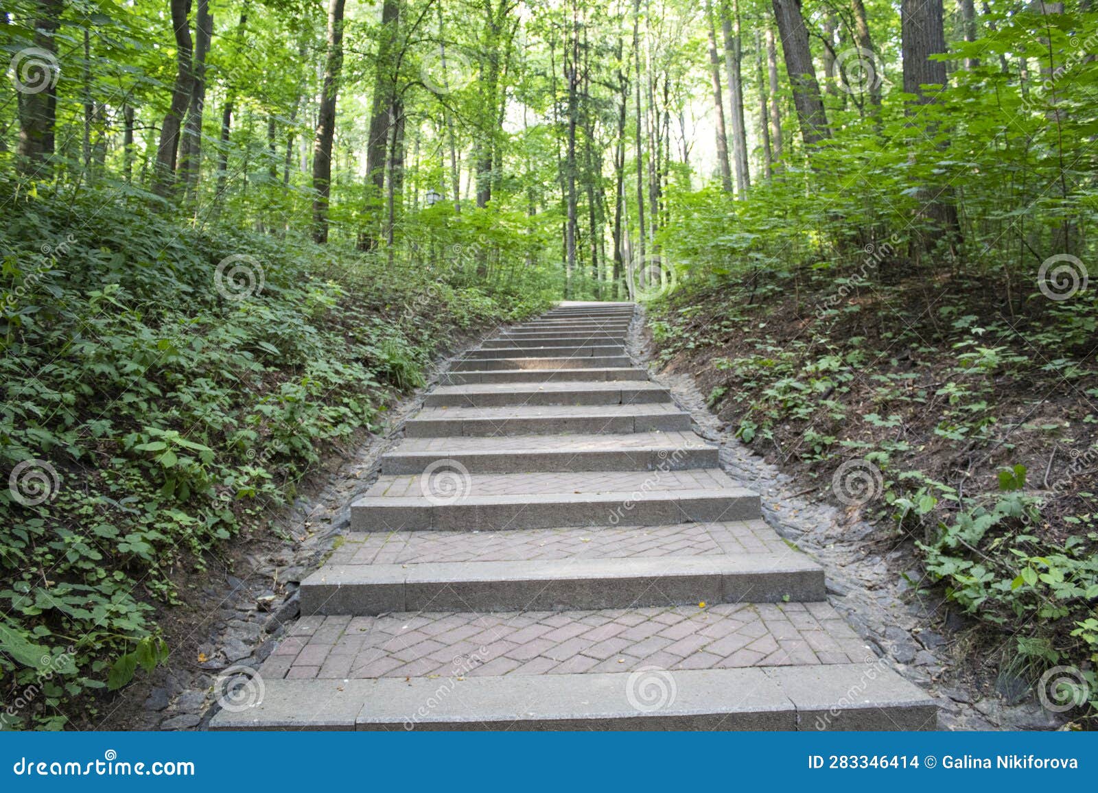 A Concrete Path with Steps Going Up. Stock Photo - Image of sidewalk ...