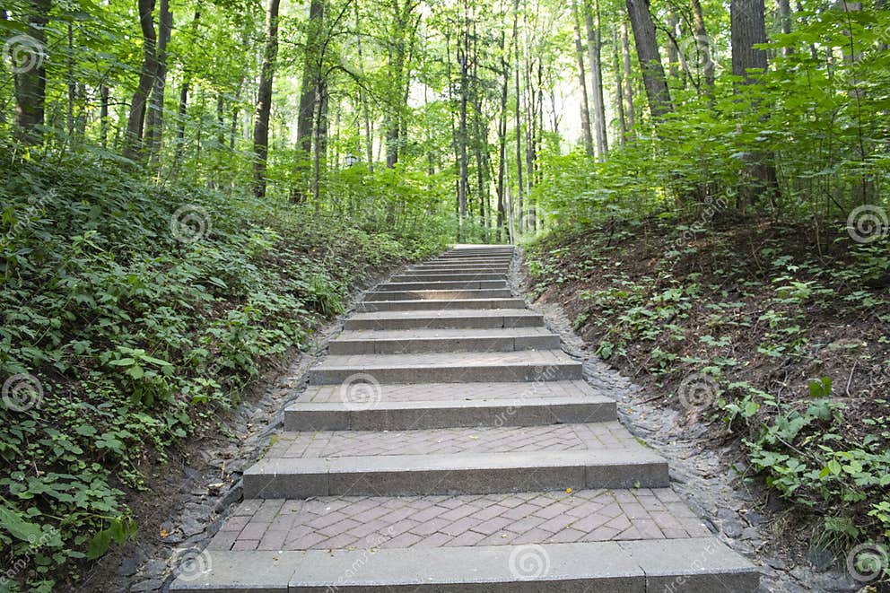 A Concrete Path with Steps Going Up. Stock Photo - Image of sidewalk ...