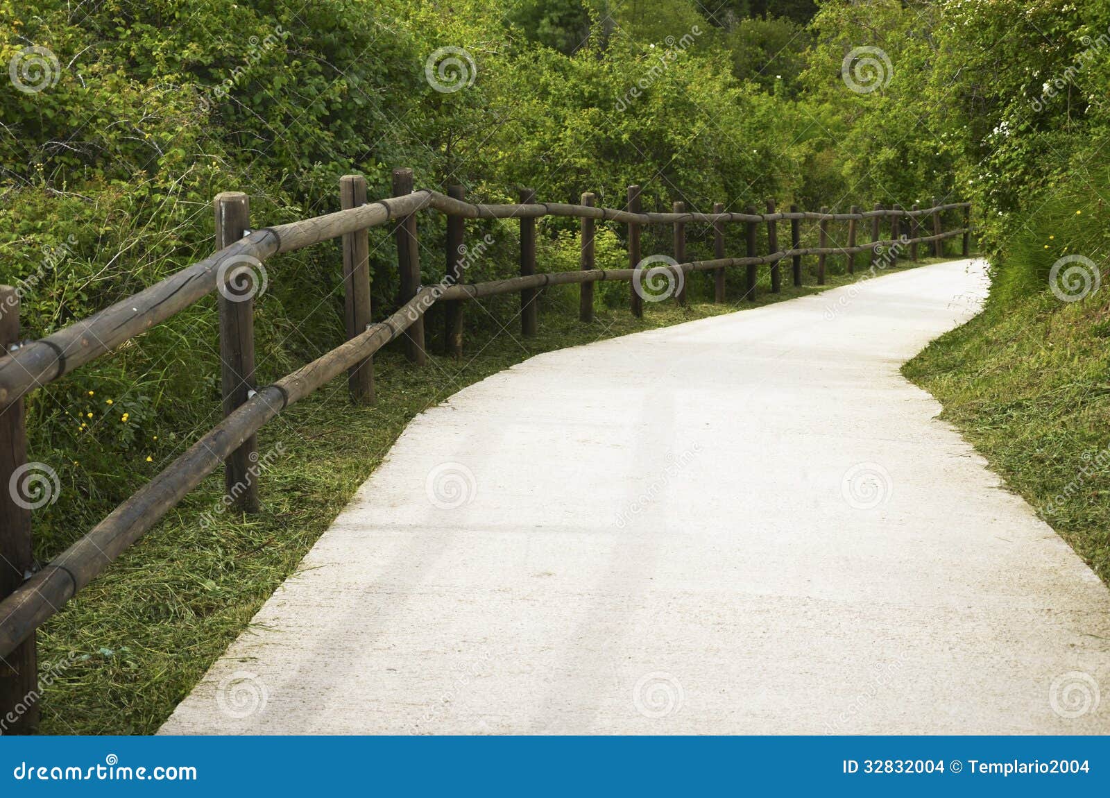 Concrete path in the woods stock photo. Image of grass - 32832004