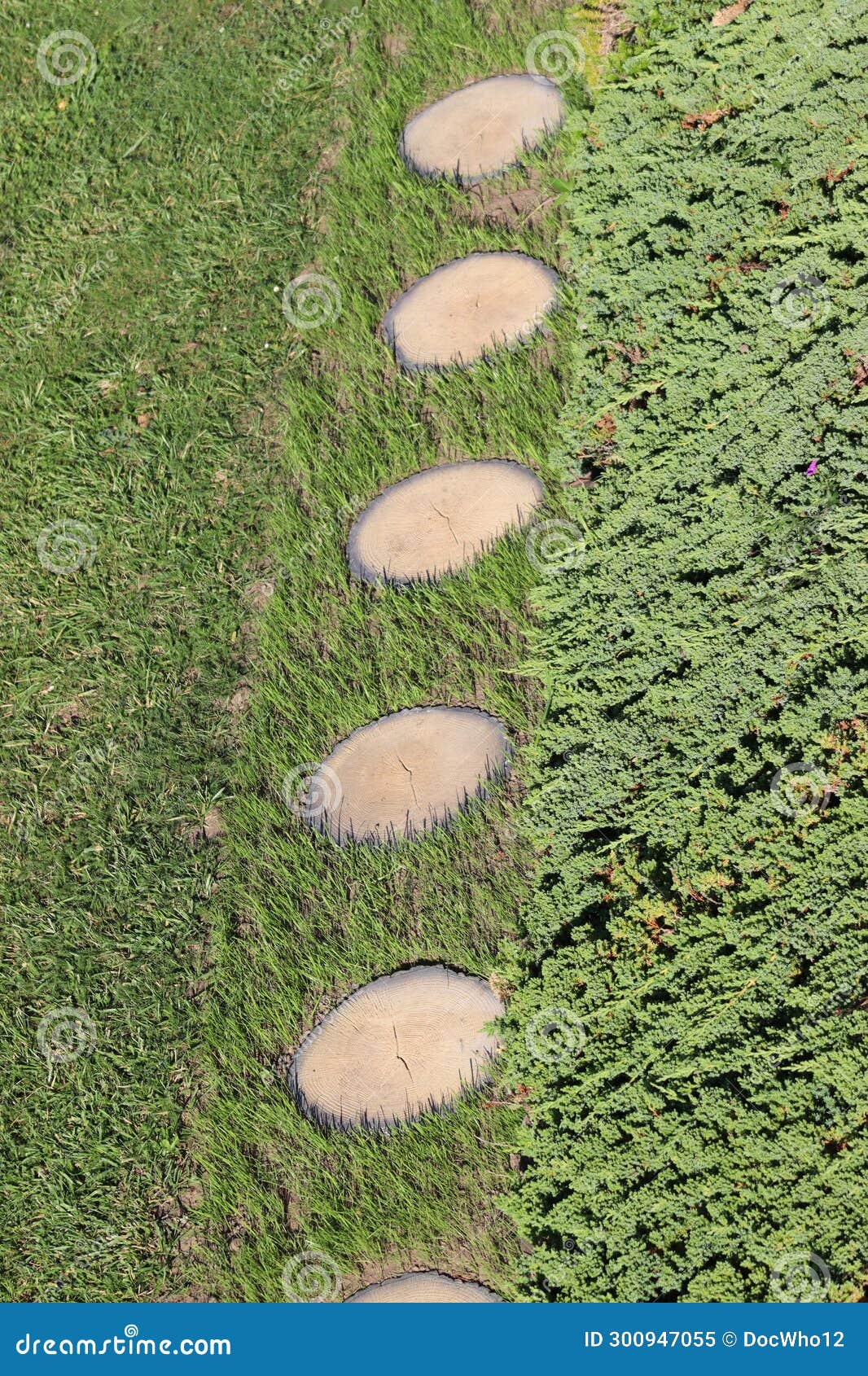 Concrete Paths in the Home Garden Stock Image - Image of round, path ...