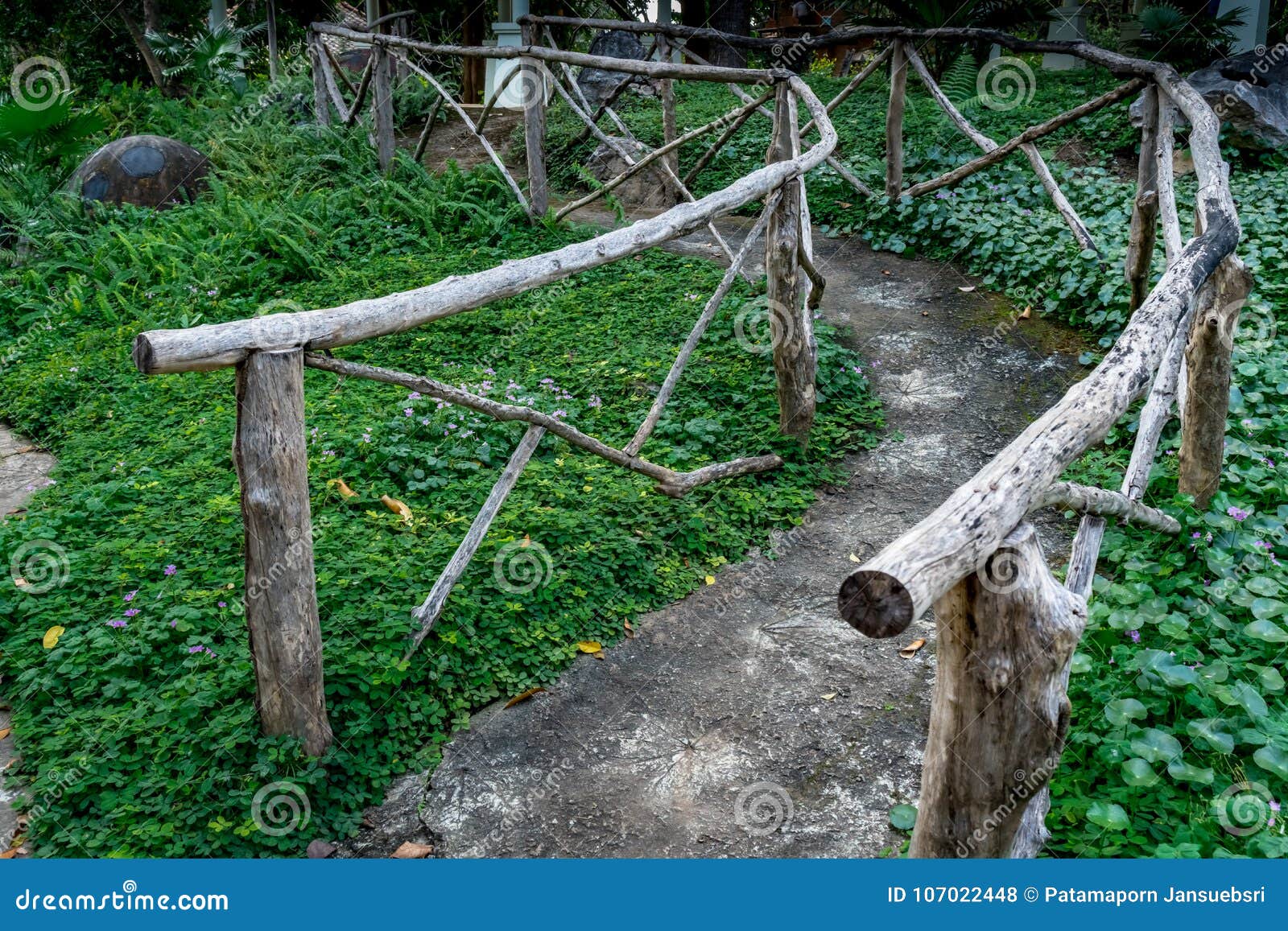 Concrete Pathway stock photo. Image of sunny, nature - 107022448