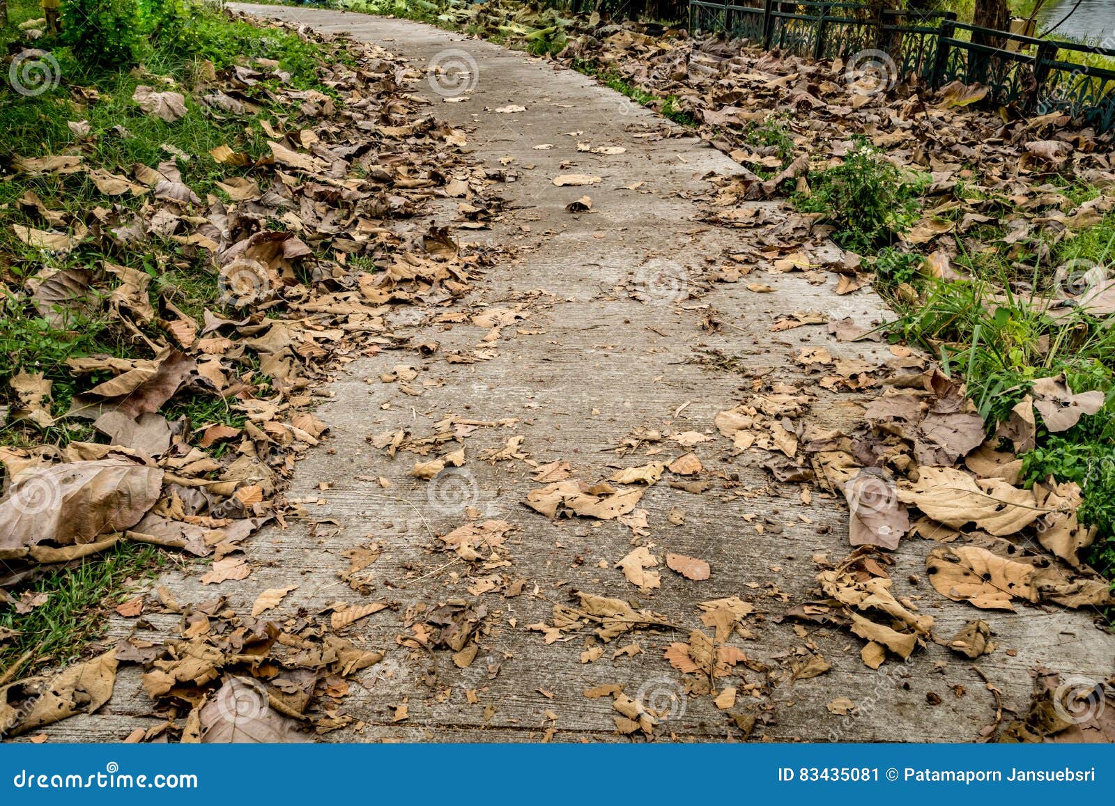 Concrete Pathway in garden stock image. Image of field - 83435081