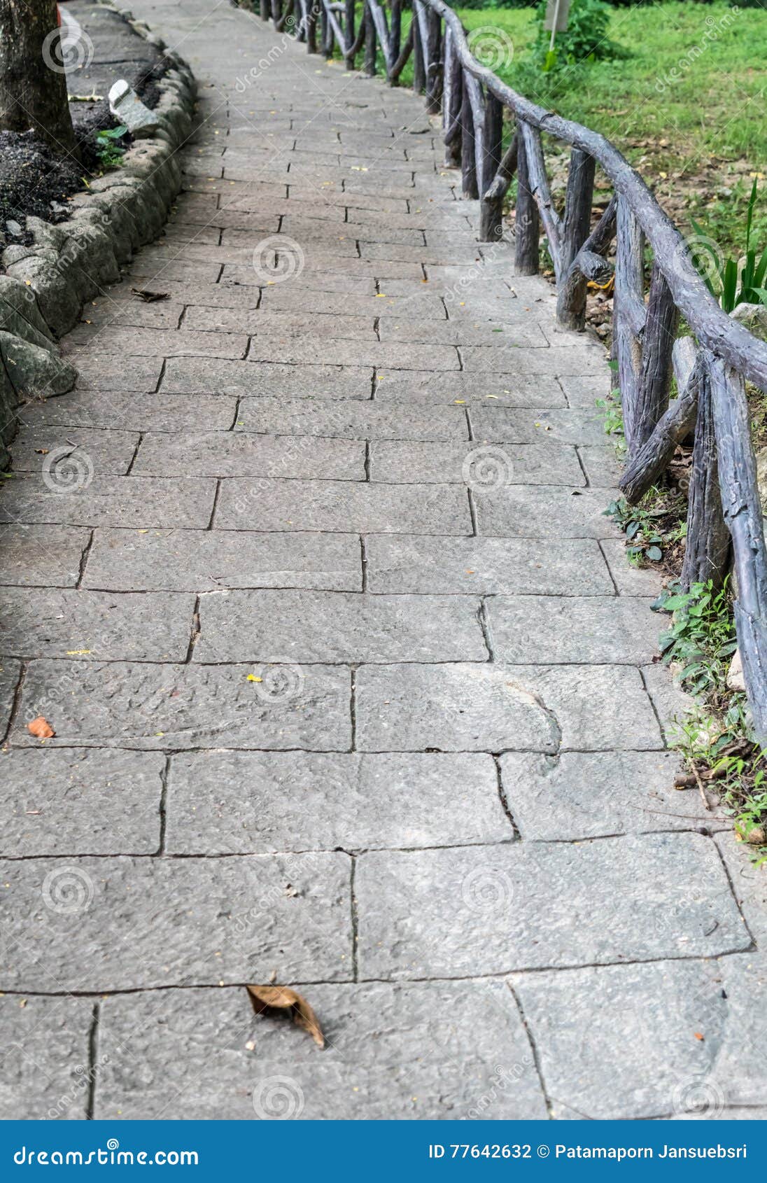 Concrete Pathway in garden stock photo. Image of background - 77642632
