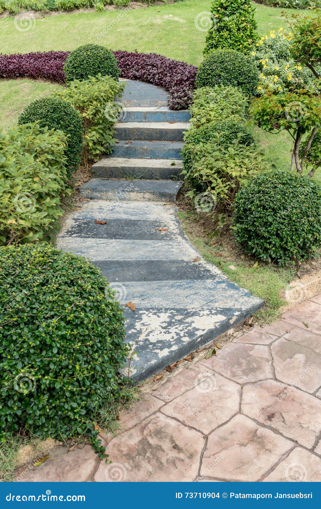 Concrete Pathway in garden stock photo. Image of nature - 73710904