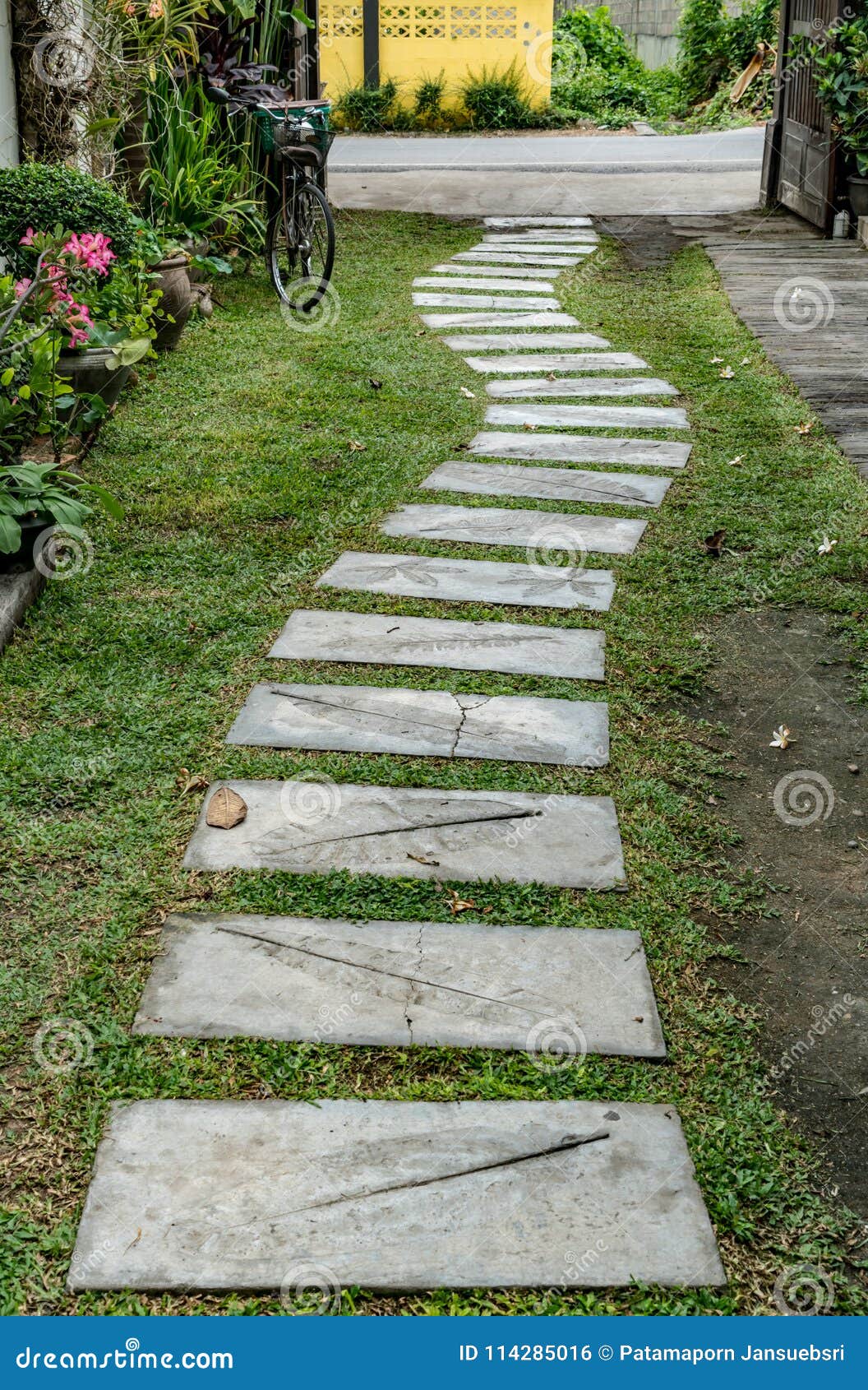 Concrete Pathway in garden stock photo. Image of path - 114285016
