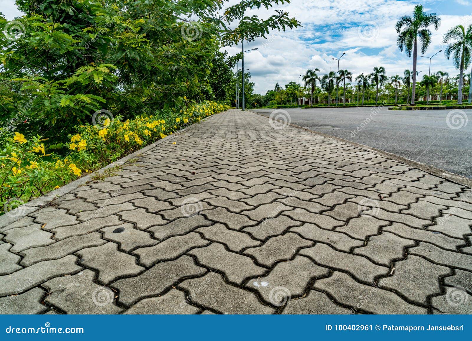 Concrete Pathway in garden stock image. Image of scenic - 100402961
