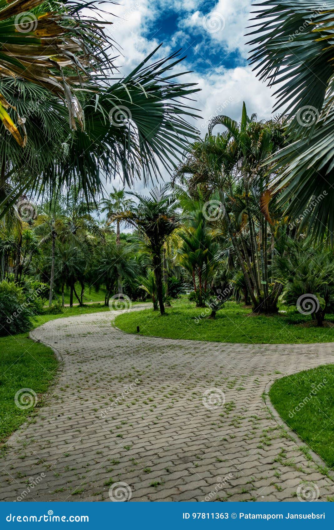 Concrete Pathway in garden stock image. Image of landscape - 97811363