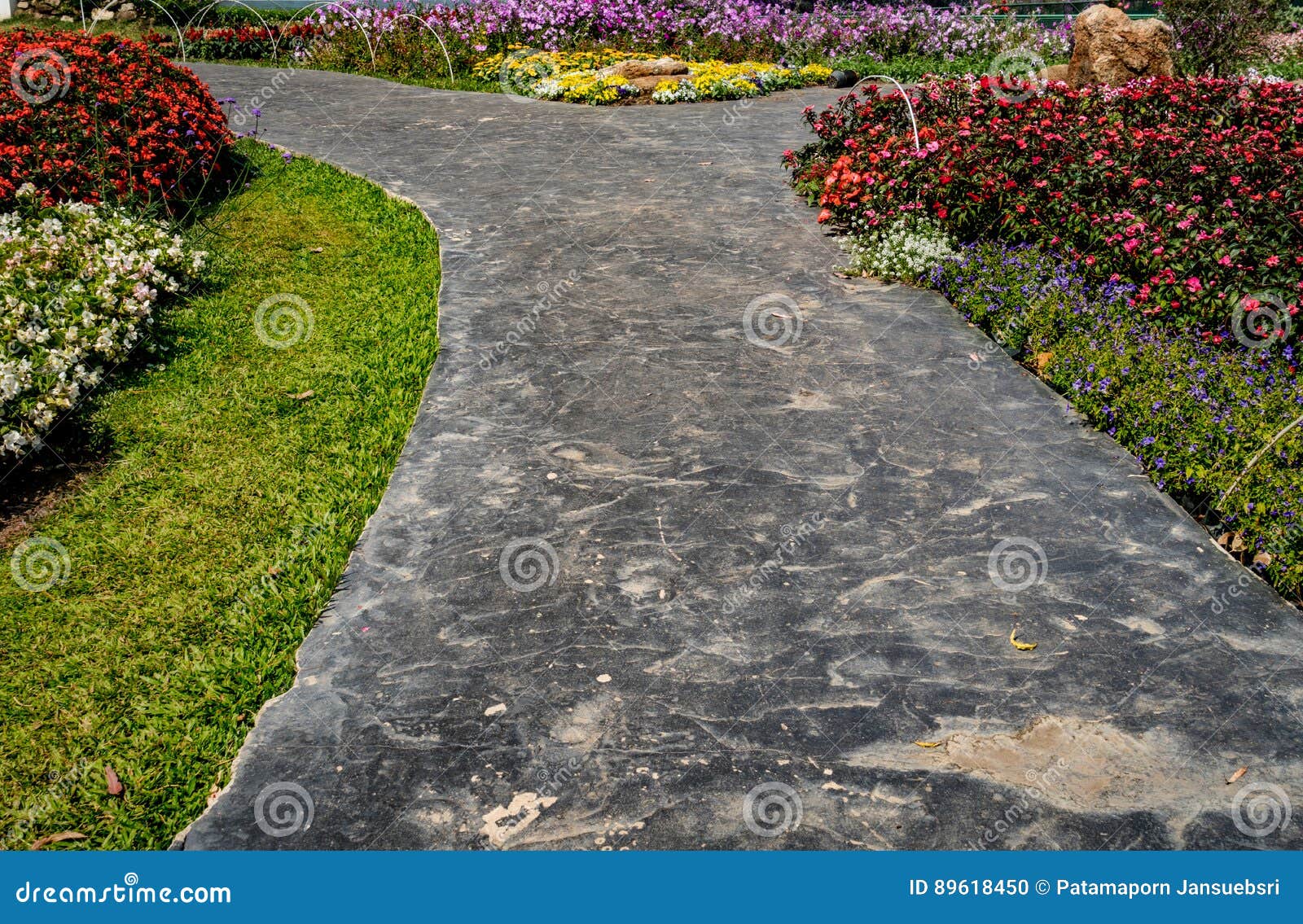 Concrete Pathway in garden stock photo. Image of leaf - 89618450