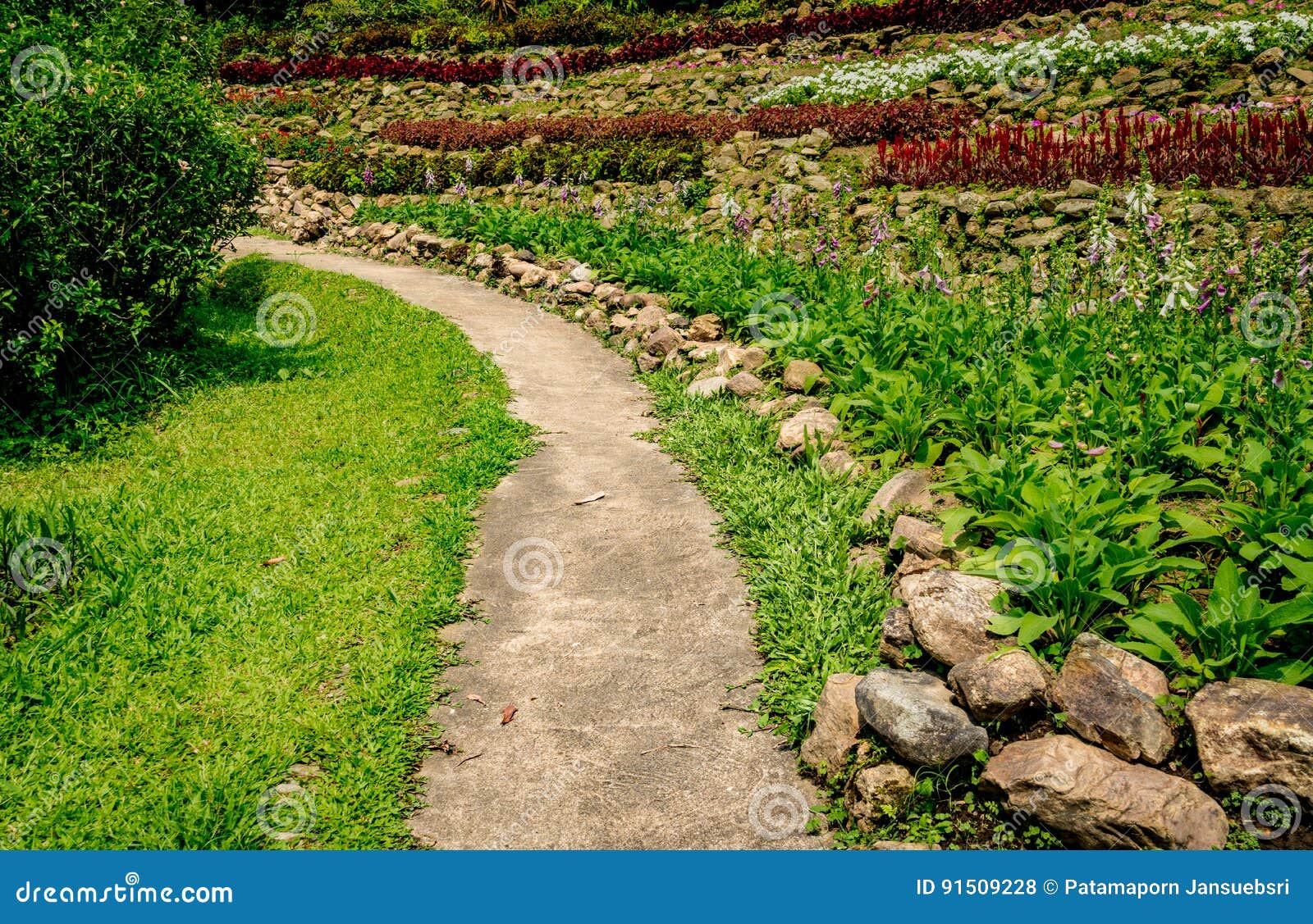 Concrete Pathway Texture Royalty-Free Stock Image | CartoonDealer.com ...