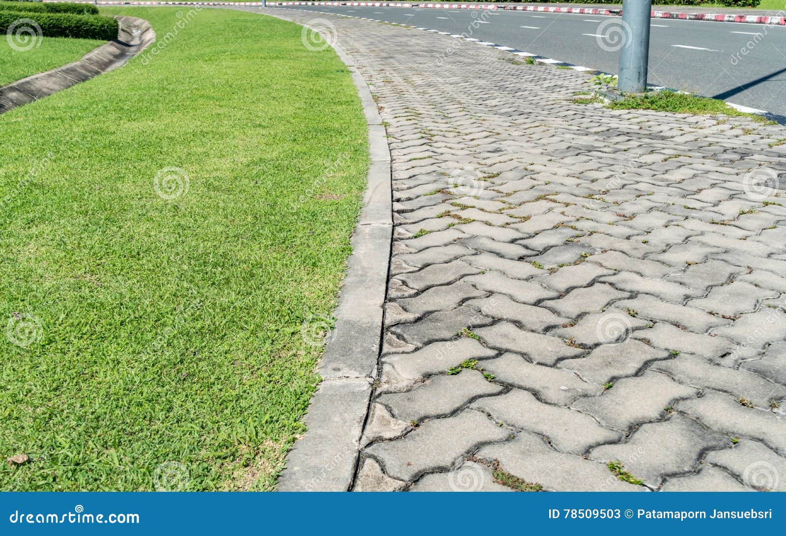 Concrete Pathway in garden stock image. Image of field - 78509503