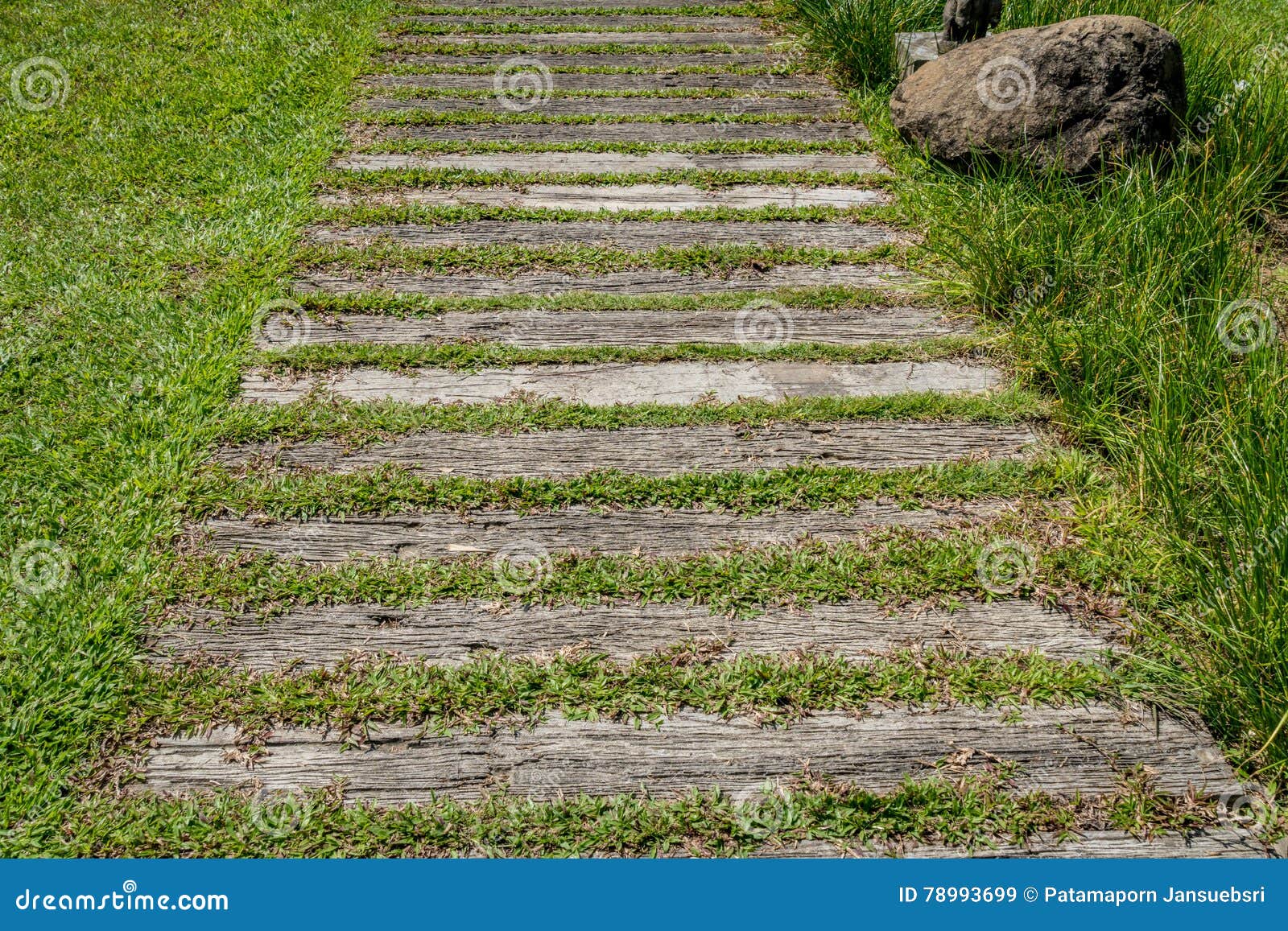 Concrete Pathway in garden stock image. Image of footpath - 78993699