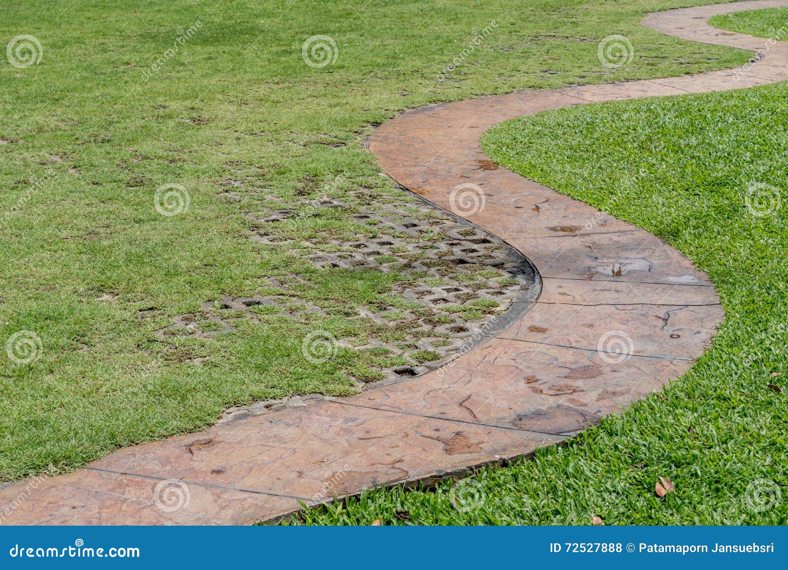 Concrete Pathway in garden stock photo. Image of stone - 72527888