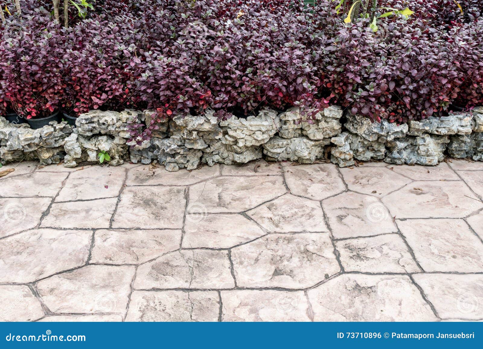 Concrete Pathway Texture Royalty-Free Stock Image | CartoonDealer.com ...