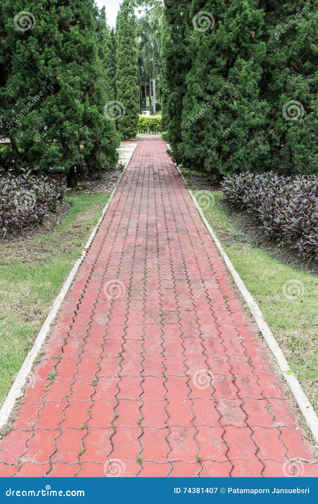 Concrete Pathway in garden stock image. Image of landscape - 74381407