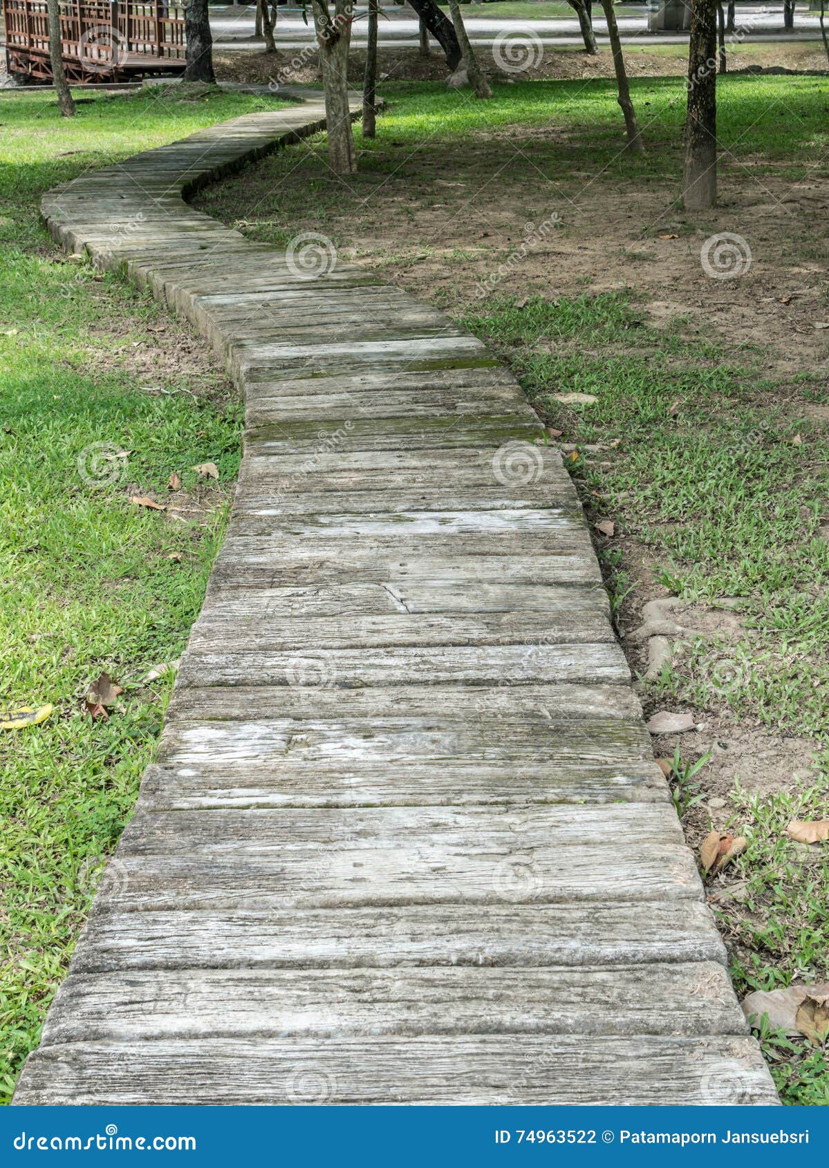 Concrete Pathway in garden stock photo. Image of field - 74963522