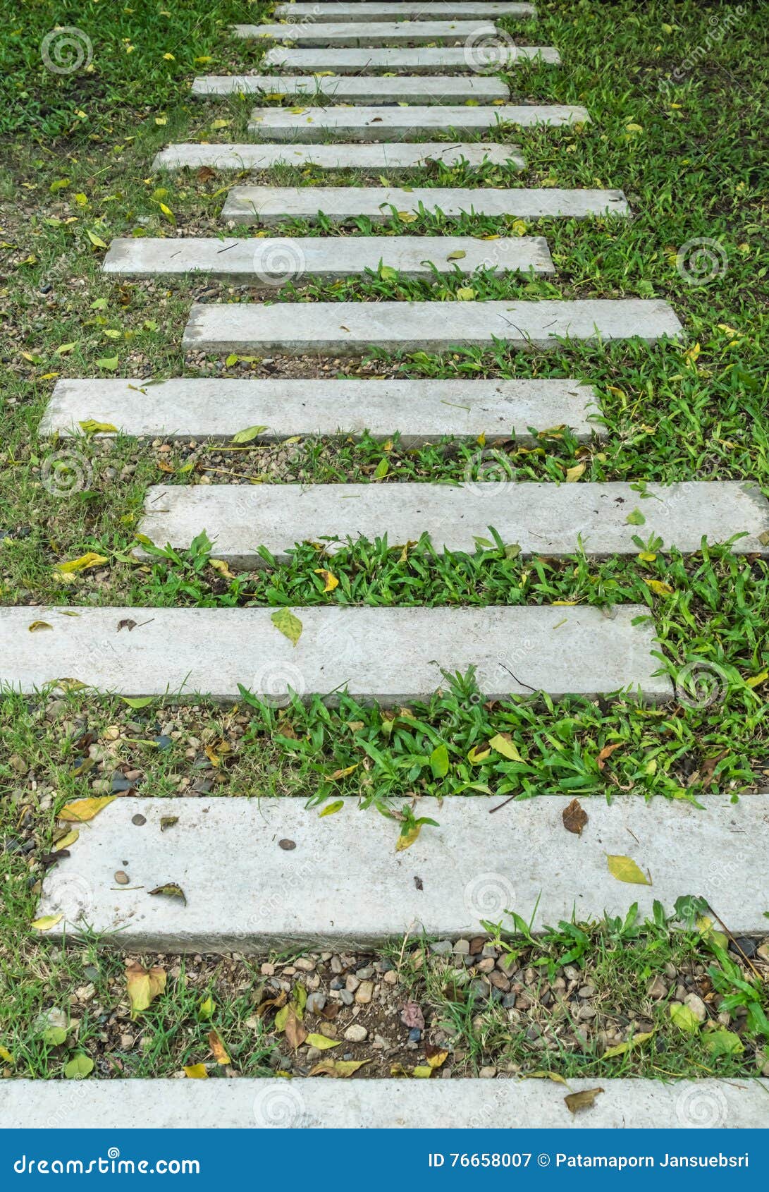 Concrete Pathway in garden stock image. Image of path - 76658007