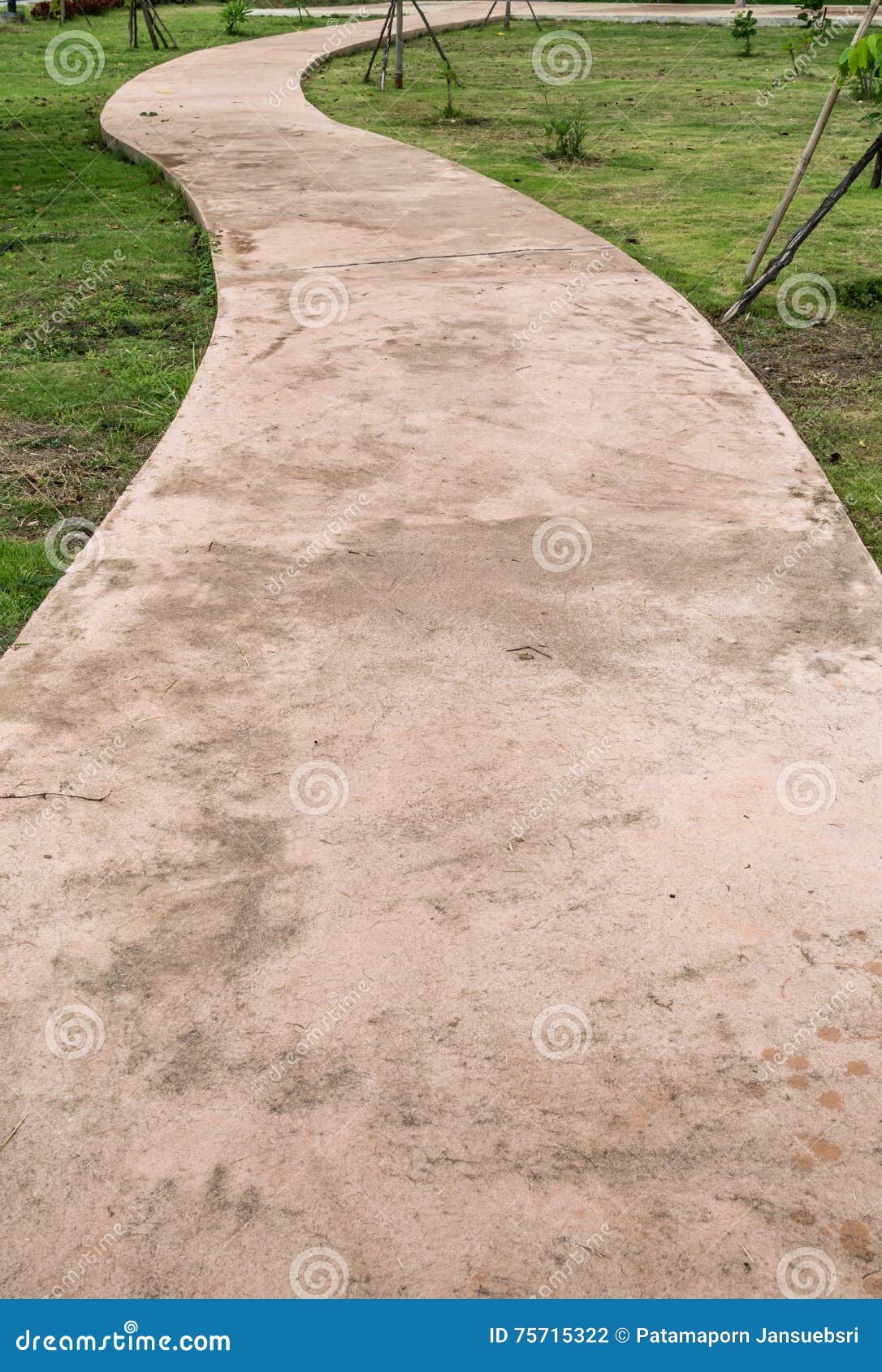 Concrete Pathway in garden stock photo. Image of spring - 75715322