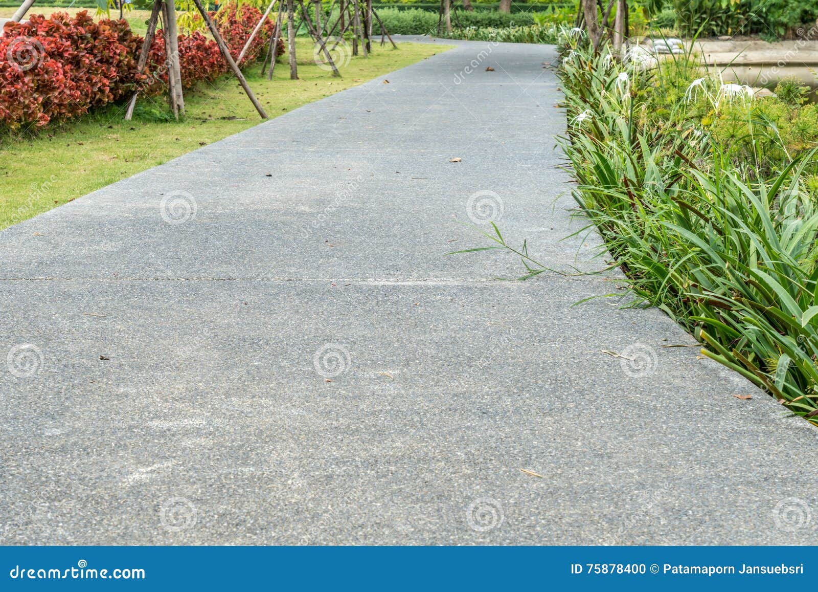 Concrete Pathway in garden stock photo. Image of park - 75878400
