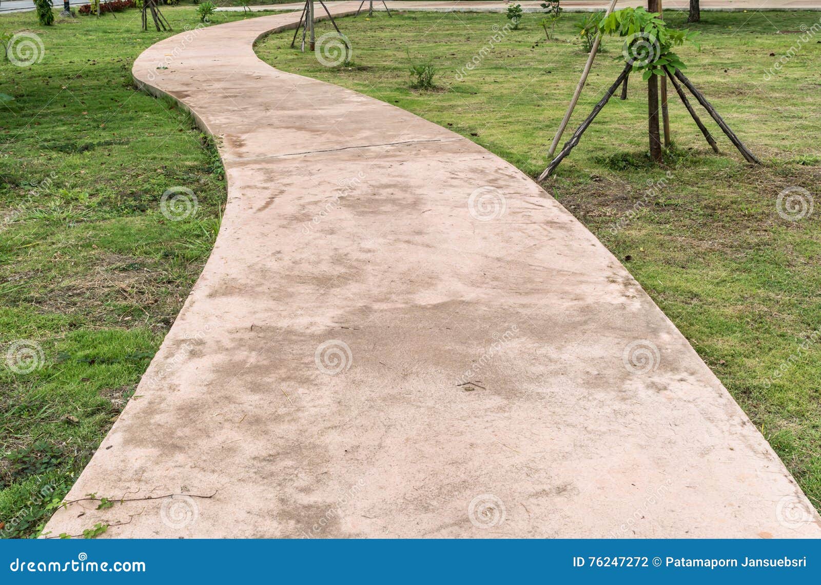 Concrete Pathway in garden stock photo. Image of pathway - 76247272