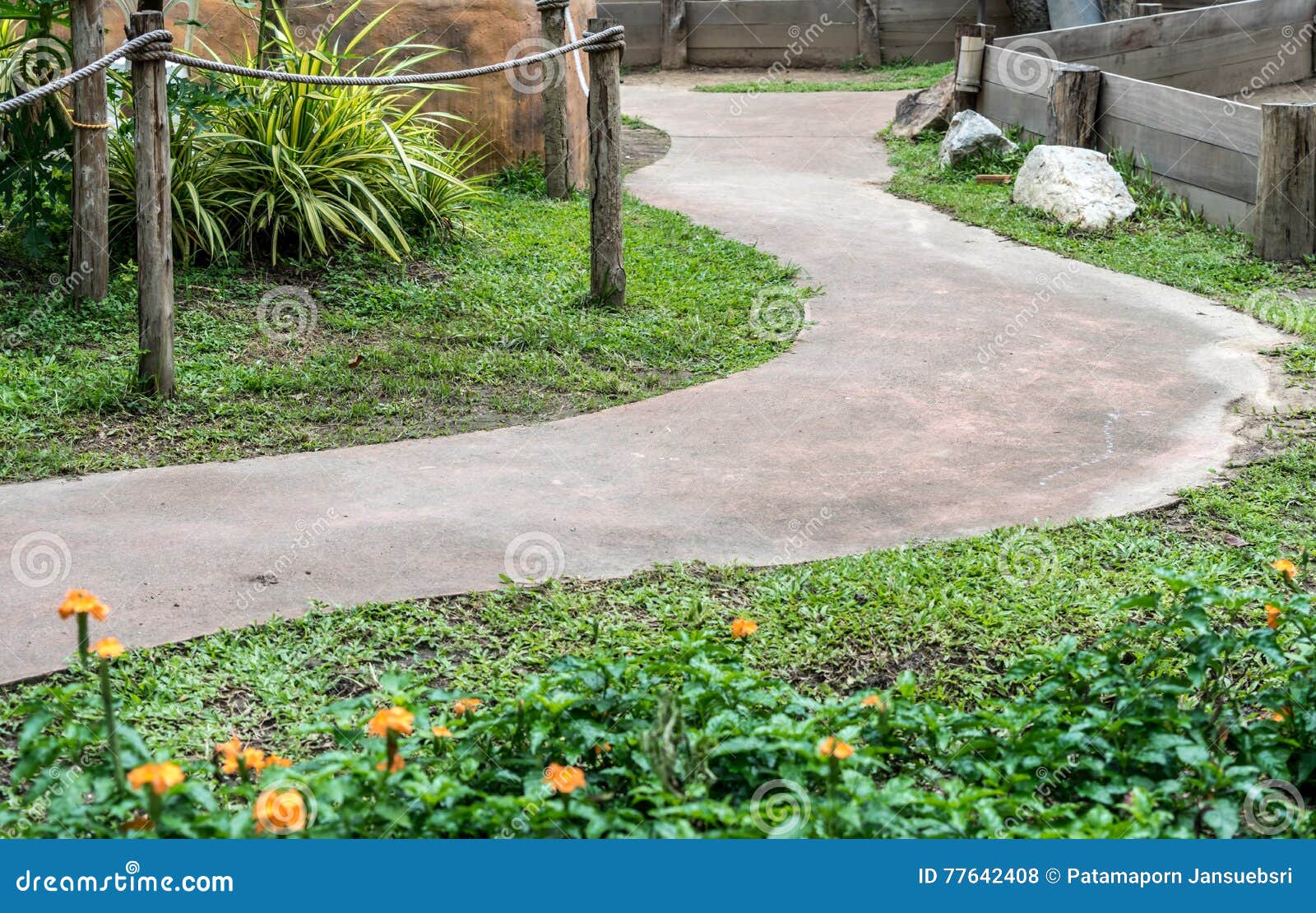 Concrete Pathway in garden stock photo. Image of park - 77642408