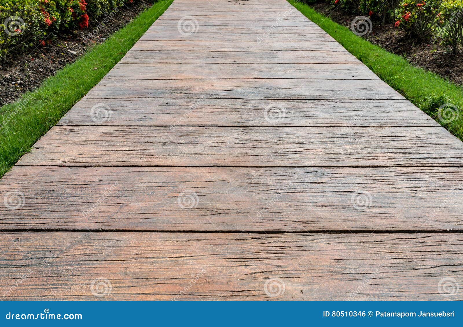 Concrete Pathway in garden stock photo. Image of walkway - 80510346