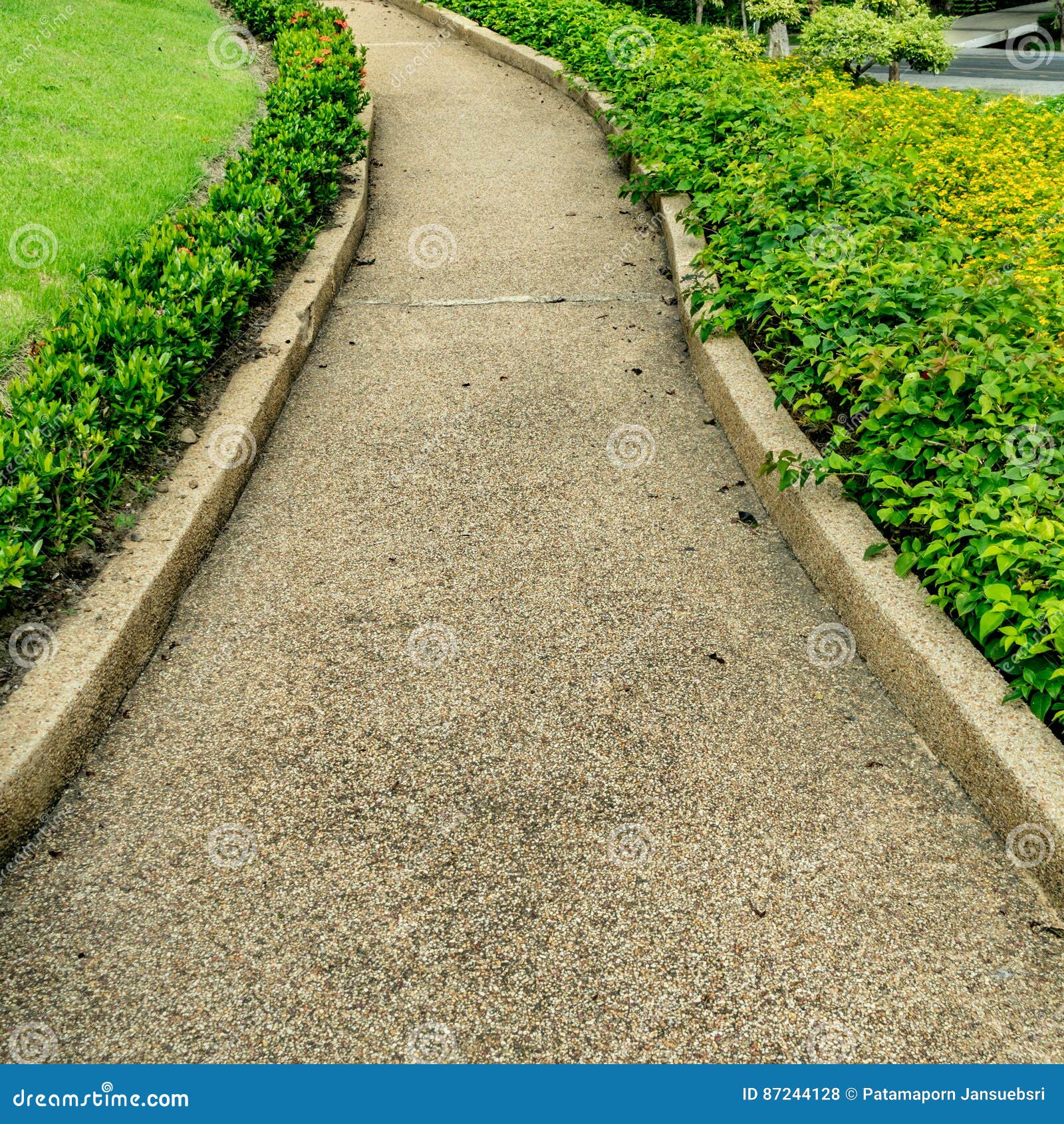 Concrete Pathway in garden stock photo. Image of landscape - 87244128