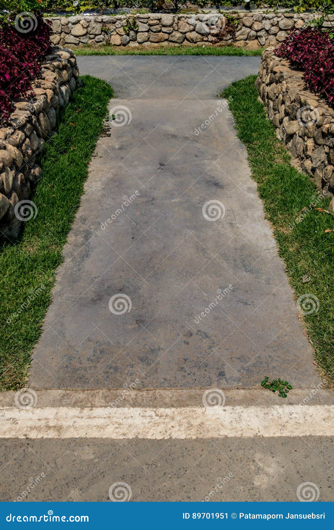Concrete Pathway in garden stock image. Image of plant - 89701951
