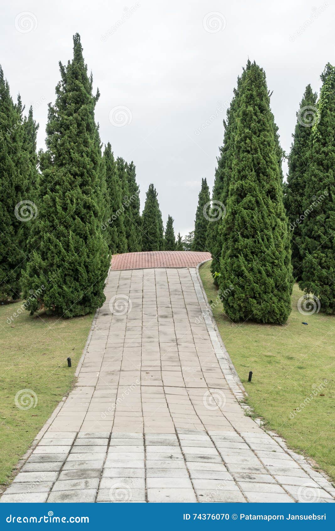 Concrete Pathway in garden stock photo. Image of field - 74376070